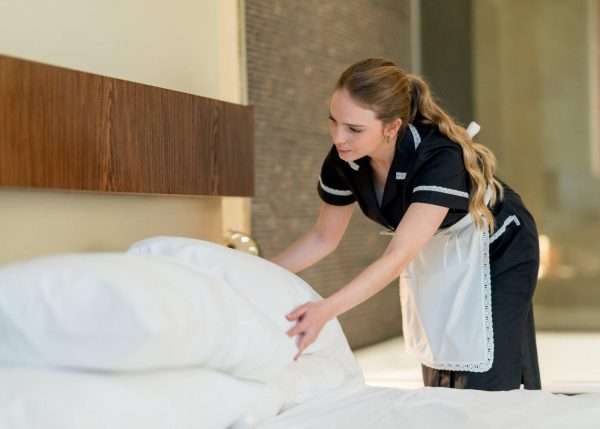 House Cleaning - The French Maid